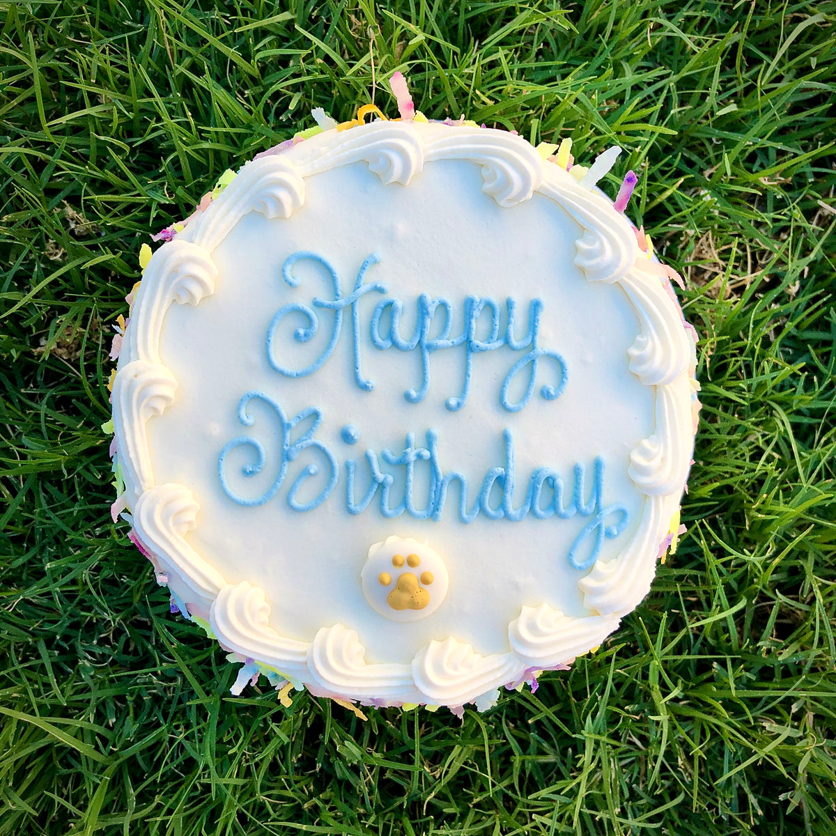 Fetch & Go! Cakes – Happy Tails Barkery